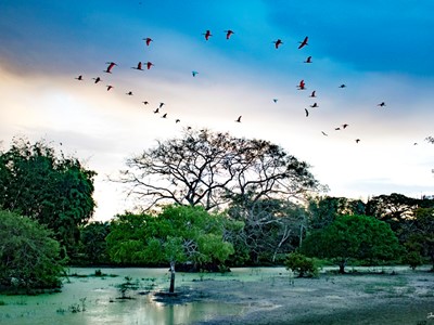 Hotel Anamela - Mani, Casanare